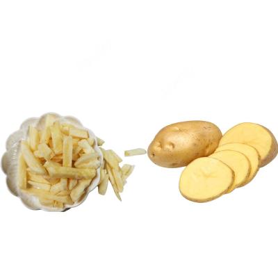 China New Crop Fryer Sweet Potato Chips Wholesale Holland Potato for sale