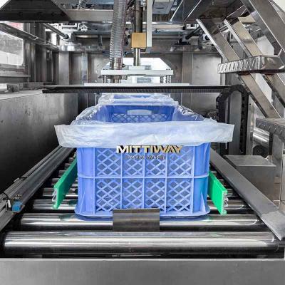 Cina Automaticoa cassa erettore e sacchetto inseritore carta borsa macchina di produzione in vendita