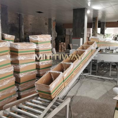 Cina 110V Macchine per imballaggio alimentare in cartone Macchine elettriche per inserire sacchetti da 400W in vendita