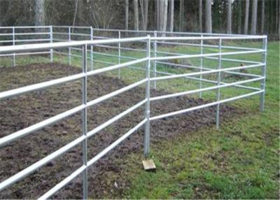 China Eco Friendly Flat Surface Corral Fence Panels 32mm Pipe Size With 6 Rails for sale
