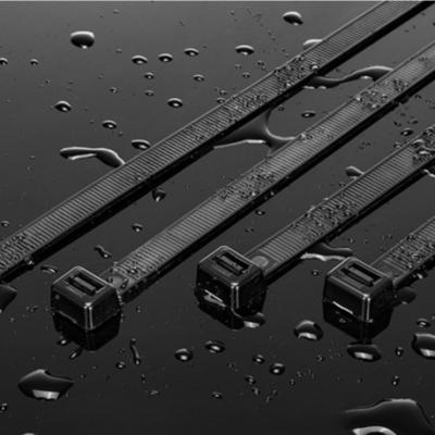China 12 Inch Hot Sale High Quality Nylon Zip Ties Exclusive High Tensile Double Sided Toothed Cable Ties for Outdoor Use for sale