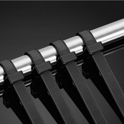 China 12 Inch Hot Sale High Quality Nylon Zip Ties Exclusive High Tensile 100 Lbs Double Sided Toothed Cable Ties for sale