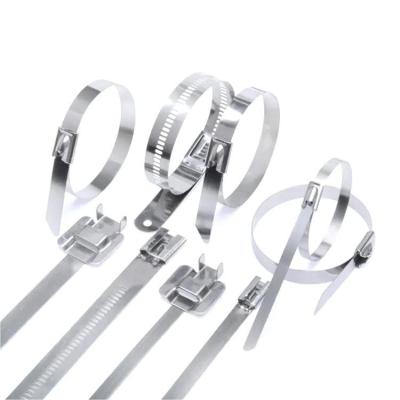 China Customized Stainless Steel Cable Ties Long Lifespan Weather Resistant for sale