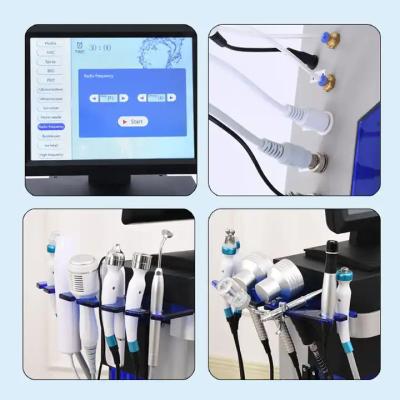 Cina 14 in 1 Hydra Facial Machine 250W Hydra Dermabrasion Machine 90Kpa in vendita