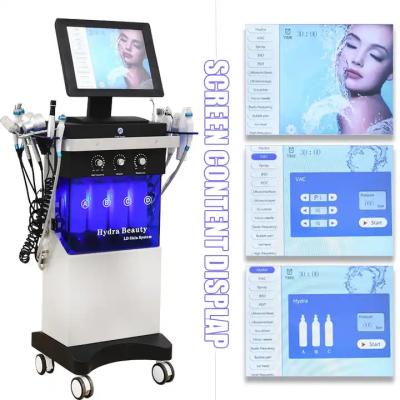 Cina 14 in 1 Hydra Facial Machine 250W Hydra Dermabrasion Machine 90Kpa in vendita