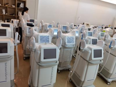 Cina Macchina elettrica per la scultura EMS Macchina per lo stimolo muscolare professionale commerciale 230V in vendita