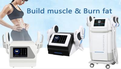 Cina Macchina elettrica per la scultura EMS Macchina per lo stimolo muscolare professionale commerciale 230V in vendita