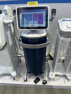 China 4MHz Skin Care Machine 300W RF Fractional Microneedling Machine Standing for sale