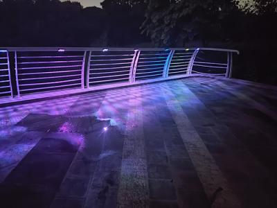 Cina Il giardino alimentato solare impermeabile IP65 accende la Camera ad alta intensità luminosa dell'ABS in vendita