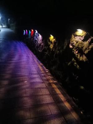 Cina IP65 recinto solare Flood Lights For RGB all'aperto decorativo per paesaggio in vendita