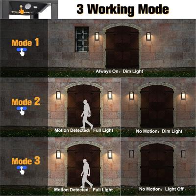 China 15-Hour Working Solar Panel Black Decorative Solar Lights 6-Hour Charge Time 2-Pack Package for sale