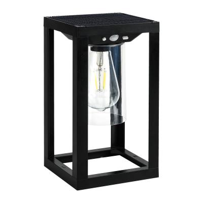 China 15-Hour Working Solar Panel Black Decorative Solar Lights 6-Hour Charge Time 2-Pack Package for sale