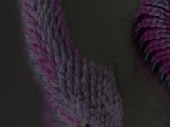silk purple Silver