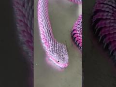 Silk Dual Color Purple Silver PLA Plus Filament Toughness Enhanced 3D Printer Filament