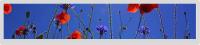 China 1920x360 Bar Type IPS LCD Lvds Interface 21.2