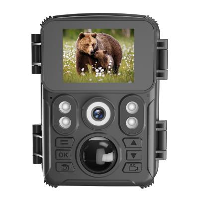 best cheap trail camera