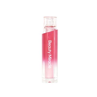 China Waterproof Glossy Lip Gloss with Mixed Colors Shimmer High-quality Vegan Glossy Lip Gloss with Shimmer for sale