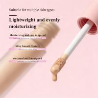 China High Coverage Long-Lasting Hydrating Concealer Daily Base Makeup for sale
