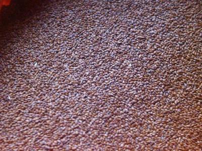China planting kiwi fruit seeds kiwi seeds cosmetic seeds kiwi seeds nuts for cosmetic for sale