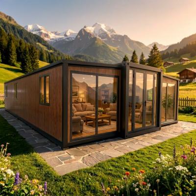 China Eco Friendly Luxury Modern Tiny House Rust Proof Expandable Prefab House for sale