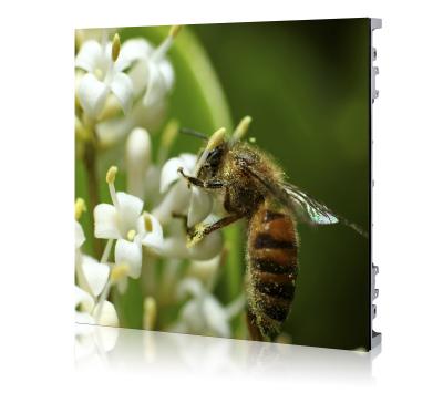 Cina Angolo di visione verticale/orizzontale dell'affitto dello schermo di P3.9 P4.8 P5.2 LED dell'esposizione di LED dell'interno 160 gradi in vendita