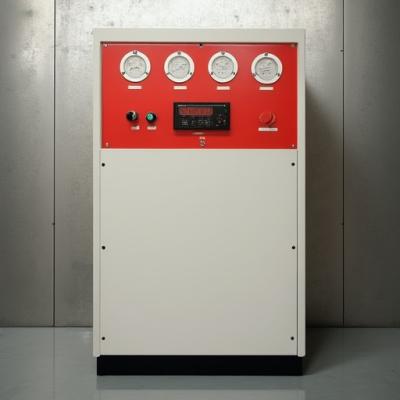 China High Pressure N2 Psa System 700kPa - 900 KPa Nitrogen Gas And Zero Air Generator for sale