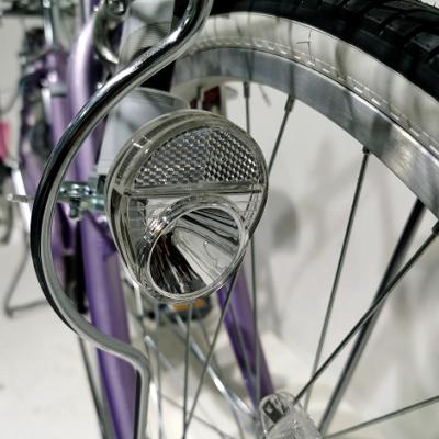 China Roxa / Beige / Verde claro Vintage Single Speed Bikes 22/24 polegadas à venda