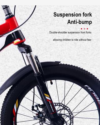Cina Freno a disco personalizzato 20 pollici MTB mountain bike 21 velocità in vendita