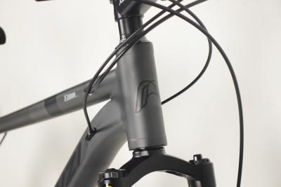 China Adultos 2 rodas Mulheres 20 polegadas Mountain Bike Suspensão completa à venda
