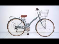 Vrouwelijke Pendelganger Volwassen Student 26 inch Variabele snelheid Vintage Fiets Groothandel
