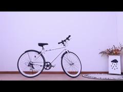 Volwassen koolstofstaal frame SHIMANO Six Speed 700c Mountain Bike Road Bike