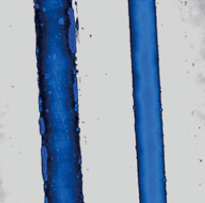 Morphology of Au-Ti Striped Electrode Sheet