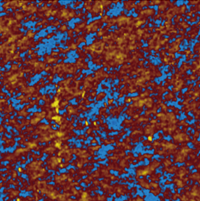 Epoxy Resin Polymer Morphology