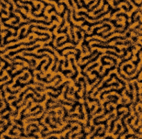 Pt-Co Thin Film Magnetism