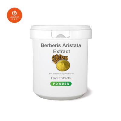 China Food Grade 80% Silymarin 30% Silybin Isosilybin Milk Thistle Extract for sale