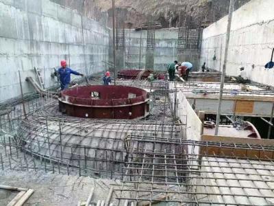 China Automatic Control Francis Turbine Generator with Water Cooling for sale