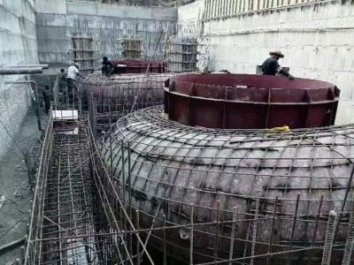 China Automatic Control Francis Turbine Generator with Water Cooling for sale