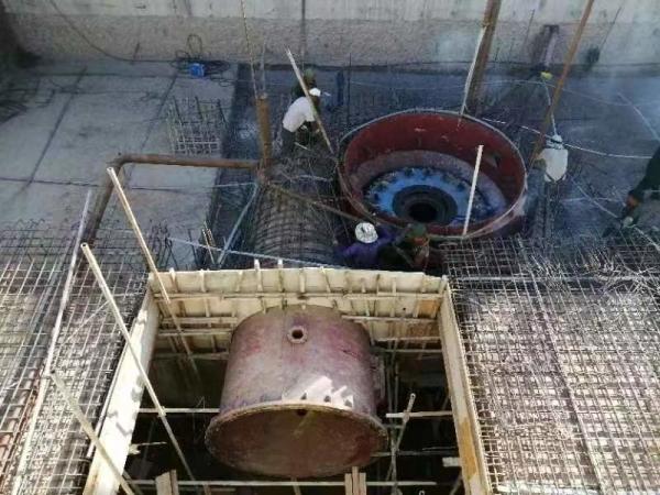 Quality Power Plant Francis Turbine Generator With Automatic Control for sale