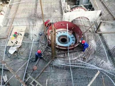 China Power Plant Francis Turbine Generator With Automatic Control for sale