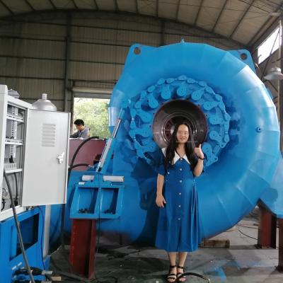 China 300KW-20MW Francis Turbine Generator with 50Hz/60Hz Frequency and Adjustable Rated Voltage for sale