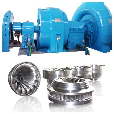 Cina 90-96% Efficienza 450-1000RPM Francis Turbine Generator in acciaio inossidabile in vendita