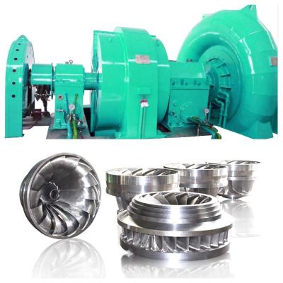 Cina 90-96% Efficienza 450-1000RPM Francis Turbine Generator in acciaio inossidabile in vendita