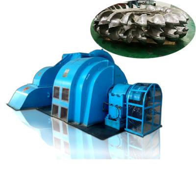 Cina 1 generatore 150RPM-1000RPM di energia di acqua di idropotenza di Mw Pelton in vendita