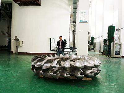 Cina Generatore a turbina Pelton affidabile per una generazione di energia efficiente in vendita