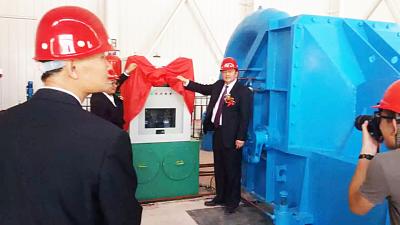 China Leistungsausgabe Pelton-Turbinen-Stromgenerator Bürstenlose Anregungsmodus Isolationsklasse F zu verkaufen