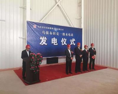 China 500-3000r/min Gerador de turbina Pelton de ferro fundido sem escovas com classe de isolamento F à venda