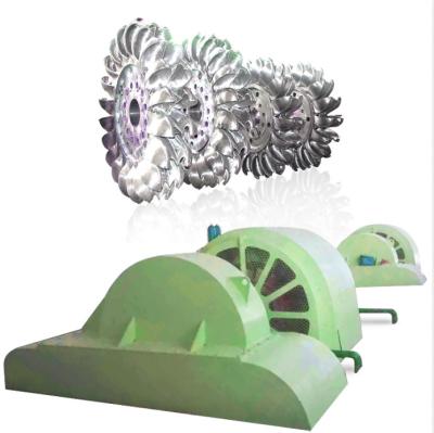 China Op maat gemaakte 100-1000A nominale stroom Pelton turbinegenerator met F-klasse isolatie Te koop