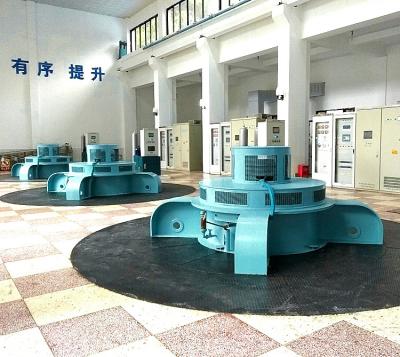 중국 고효율 90~96% 하우스 헤드용 하이드 카플란 터빈 발전기 판매용