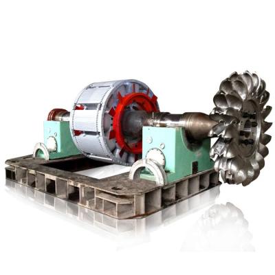 중국 맞춤식 흥분 모드 수 터빈 발전기 200kw-20mw 전력 출력 수평 설치 판매용