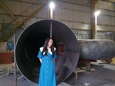 Cina Generatore di turbina ad acqua per la generazione di energia personalizzato con velocità e frequenza regolabili in vendita